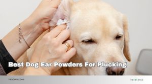 The 10 Best Dog Ear Powders For Plucking (2026), Tested and Reviewed ...