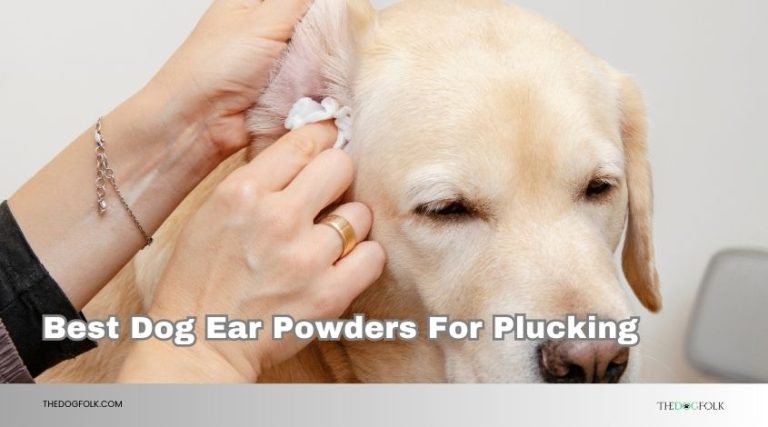 The 10 Best Dog Ear Powders For Plucking (2026), Tested and Reviewed ...