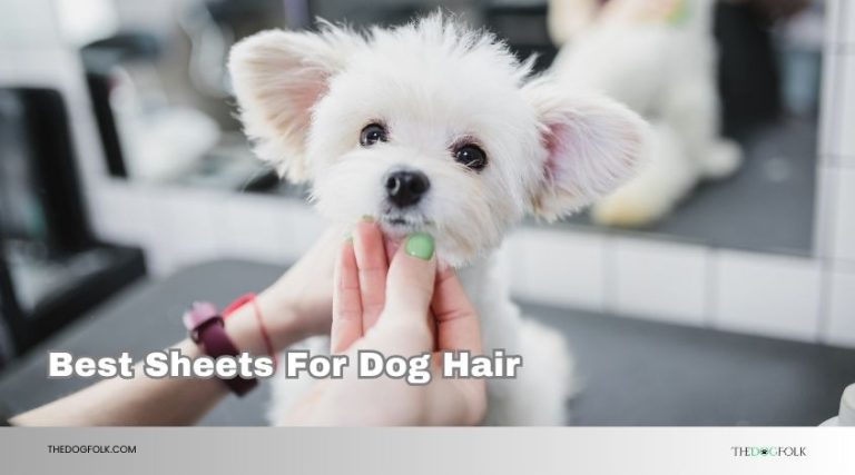 10 Best Sheets For Dog Hair 2026: Top Picks - TheDogFolk