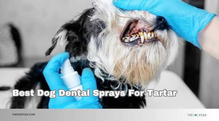 10 Best Dog Dental Sprays For Tartar (2026), Tested and Reviewed ...