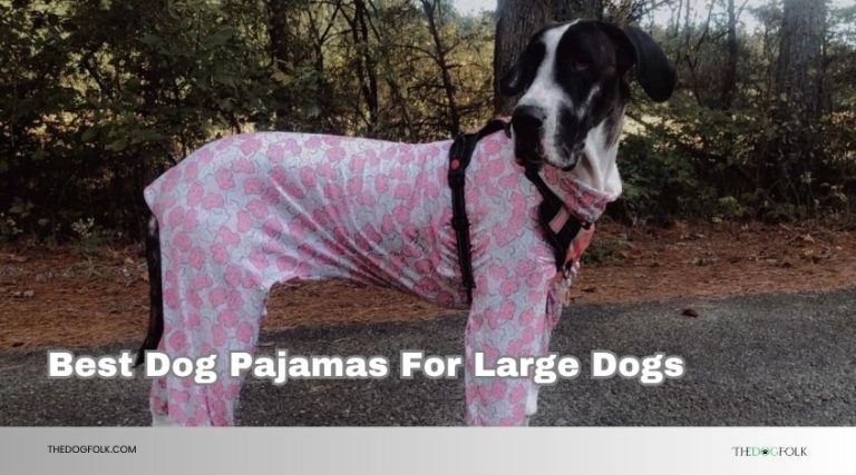 Top 10 Best Dog Pajamas For Large Dogs Of 2026, Tested by Experts ...