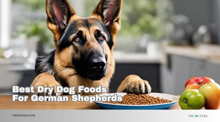Top 10 Best Dry Dog Foods For German Shepherds To Buy In 2026 - TheDogFolk