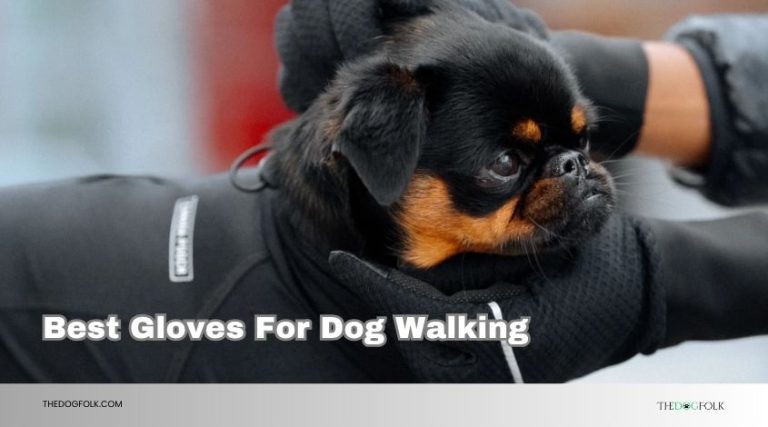 Our 10 Best Gloves For Dog Walking Of 2026, Tested by Experts - TheDogFolk