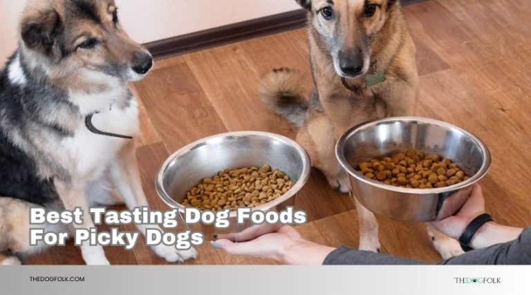 Our 10 Best Tasting Dog Foods For Picky Dogs In 2026 - TheDogFolk