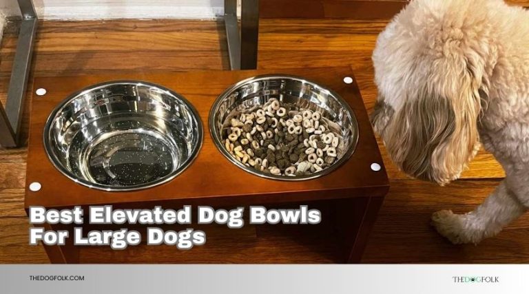 Our 10 Best Elevated Dog Bowls For Large Dogs (2026), Tested and ...