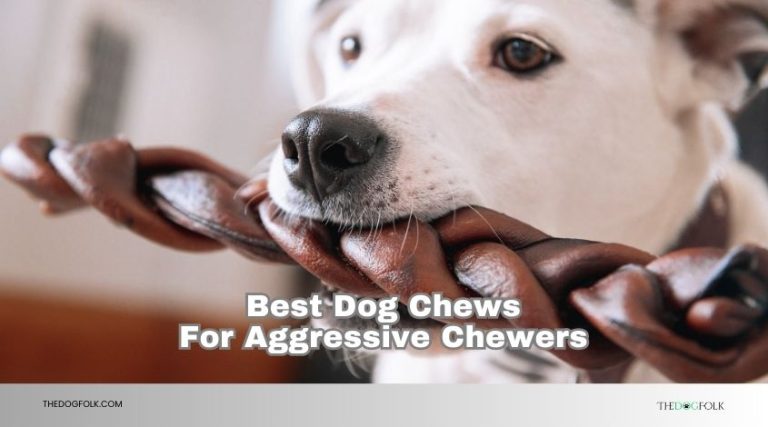 Our 10 Best Dog Chews For Aggressive Chewers (2026), Tested and ...