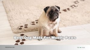 Top 10 Best Dog Mats For Muddy Paws To Buy In 2026 - TheDogFolk