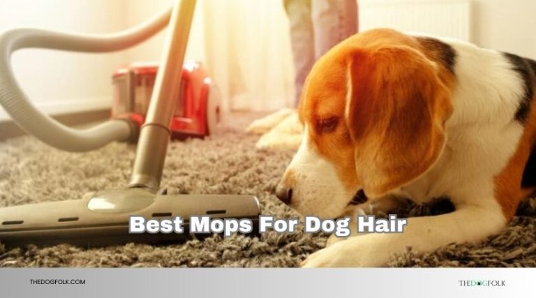 Top 10 Best Mops For Dog Hair In 2026 - TheDogFolk
